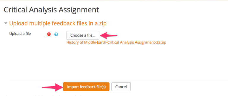 Bulk Upload Assignment Feedback Files Moodle User Guides